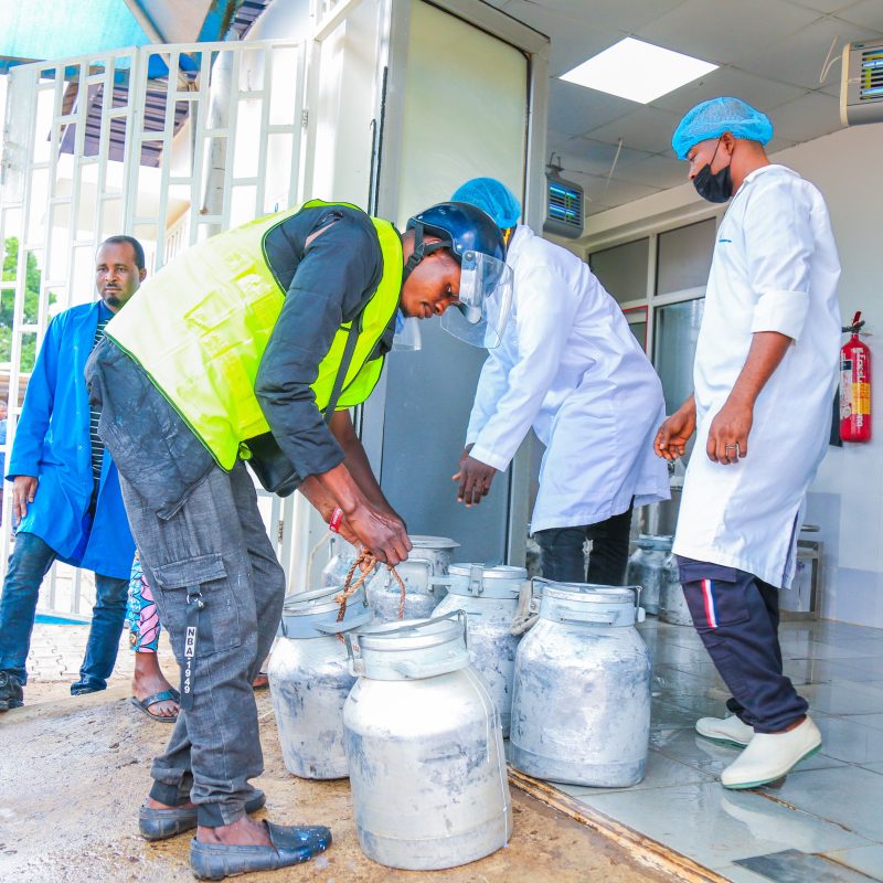 Dairy development in practice | FrieslandCampina Nigeria