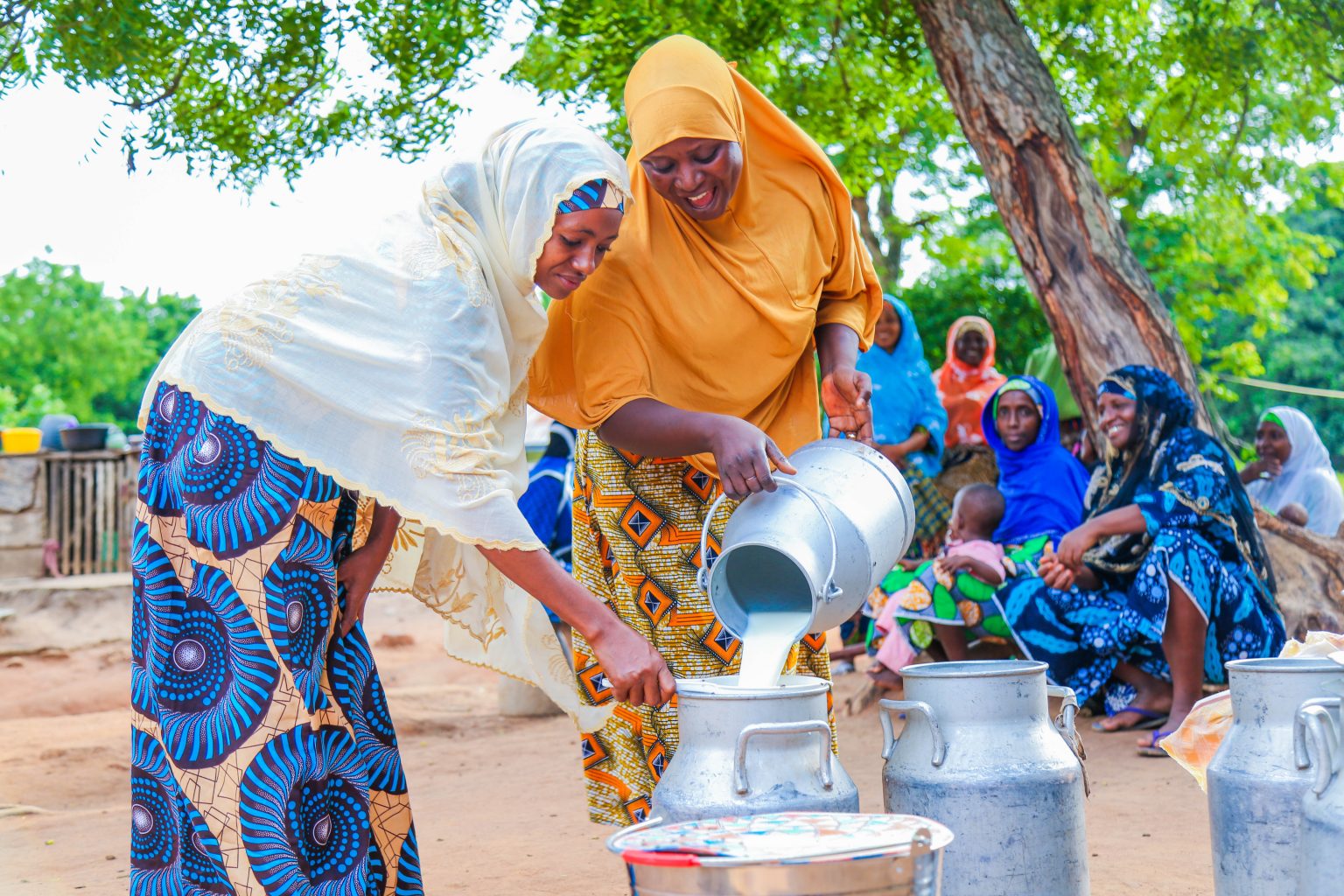 Value4Dairy Consortium led by FrieslandCampina receives grant to boost ...